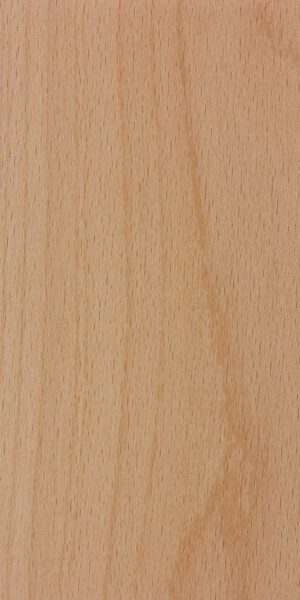 Beech - European | Halswell Timber